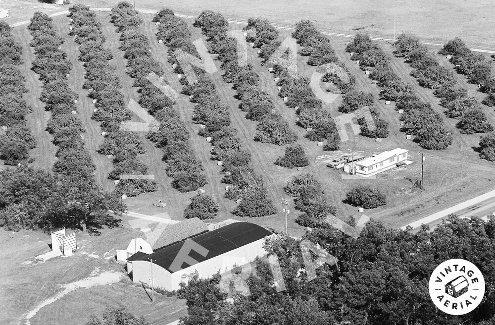 Vintage Aerial | Michigan | Ionia County | 1979 | 9-KIO-25