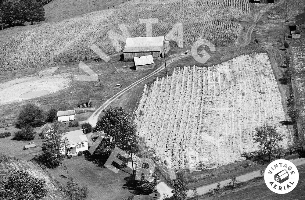 Vintage Aerial | Kentucky | Lewis County | 1981 | 26-ILE-9