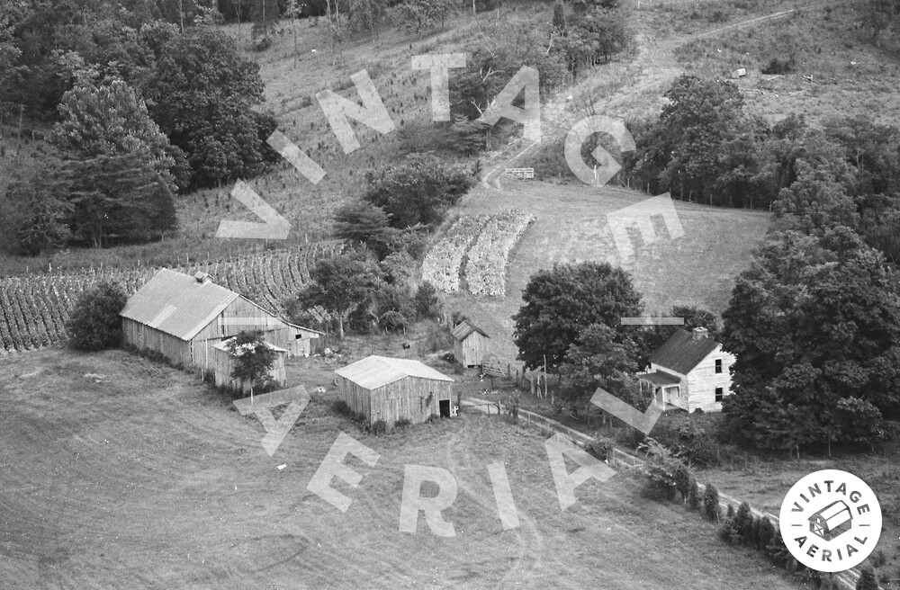Vintage Aerial | Kentucky | Lewis County | 1981 | 7-ILE-15