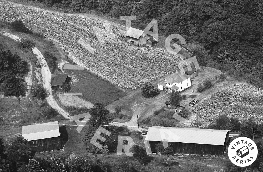 Vintage Aerial | Kentucky | Morgan County | 1982 | 45-WMO-4