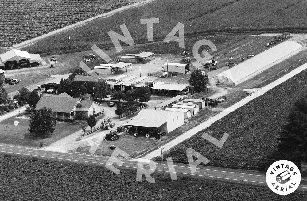 Vintage Aerial | North Carolina | Duplin County | 1999 | 29-MDU-10