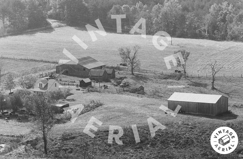 Vintage Aerial | Kentucky | Nelson County | 1977 | 43-TNE-10