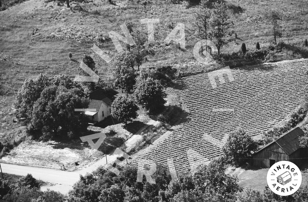Vintage Aerial | Kentucky | Casey County | 1979 | 1-OCA-25