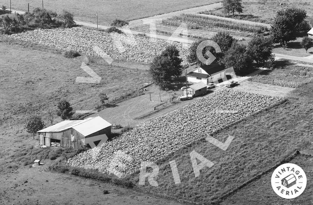 Vintage Aerial | Kentucky | Casey County | 1979 | 25-OCA-6