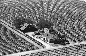 Vintage Aerial | California | Fresno County